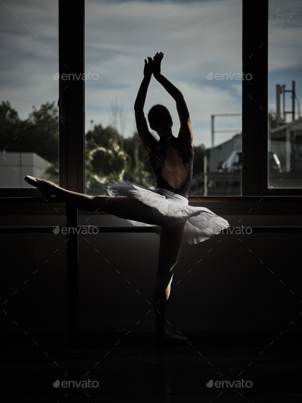 Slender ballerina doing ballet stretching exercise on barre Stock Photo ...
