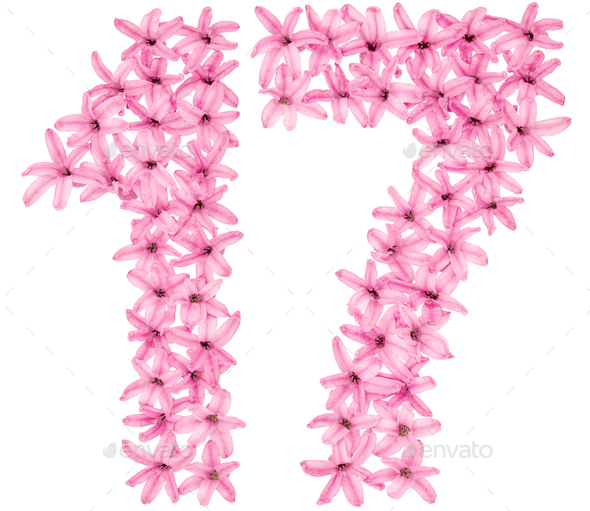 Numeral 17, seventeen, from natural flowers of hyacinth, isolated on ...