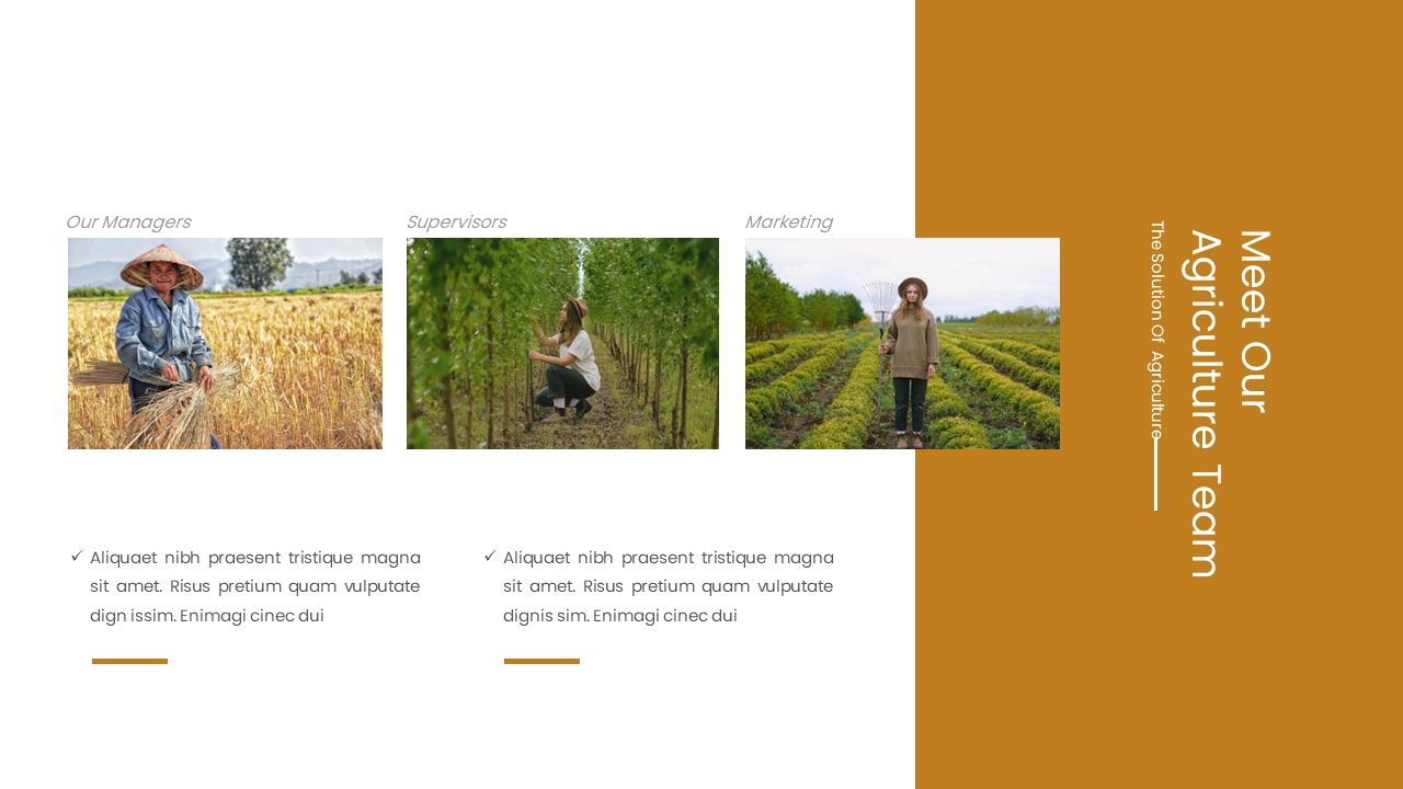 Agriculta -Agriculture Presentation, Presentation Templates | GraphicRiver