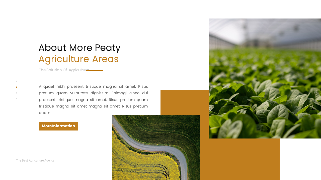 Agriculta -Agriculture Presentation, Presentation Templates | GraphicRiver