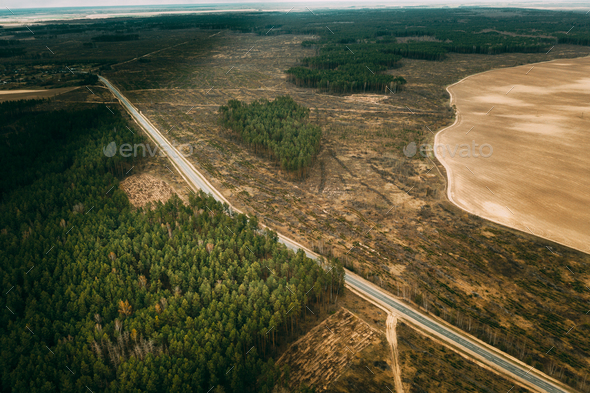 Forest Deforestation Area Landscape. Concept Of Save Nature. Forest ...