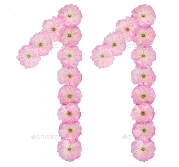 Numeral 11, eleven, from natural pink flowers of almond tree, isolated ...