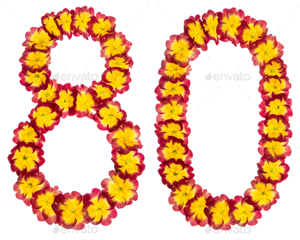 Numeral 80, eighty, from natural flowers of primula, isolated on white ...