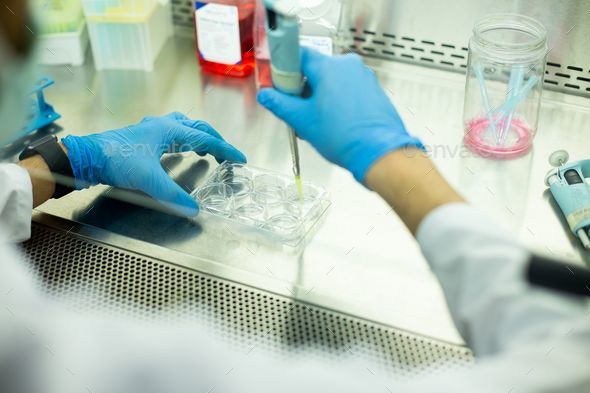 cell culture at the cell culture laboratory Stock Photo by wirestock