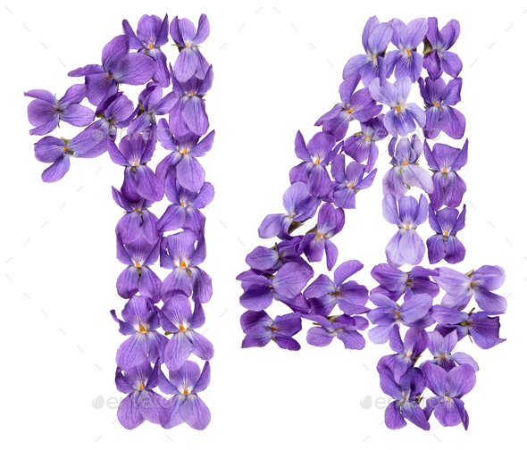 Arabic numeral 14, fourteen, from flowers of viola, isolated on white ...