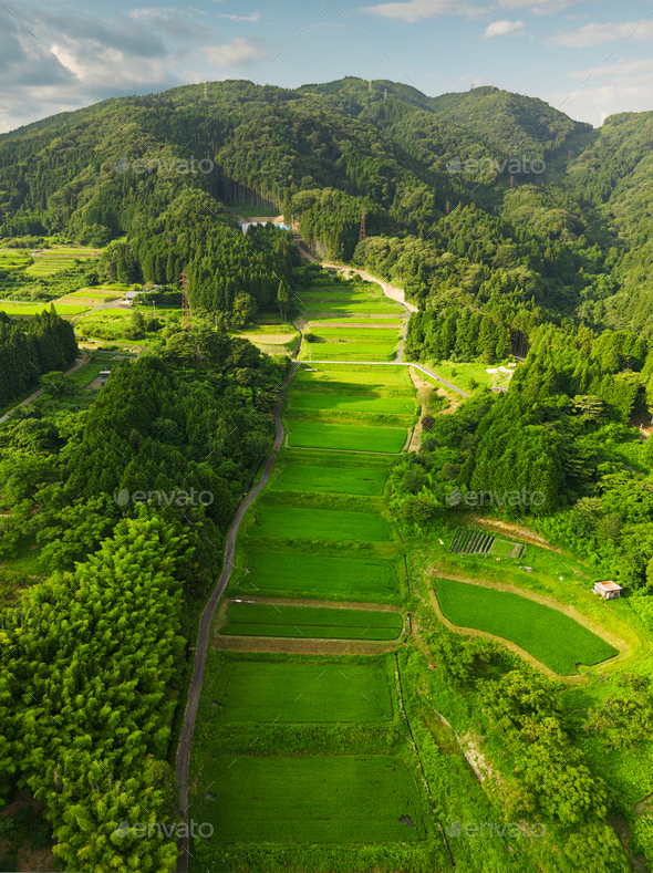 Magome-juku, Japan Rice Terraces Stock Photo by SeanPavone | PhotoDune