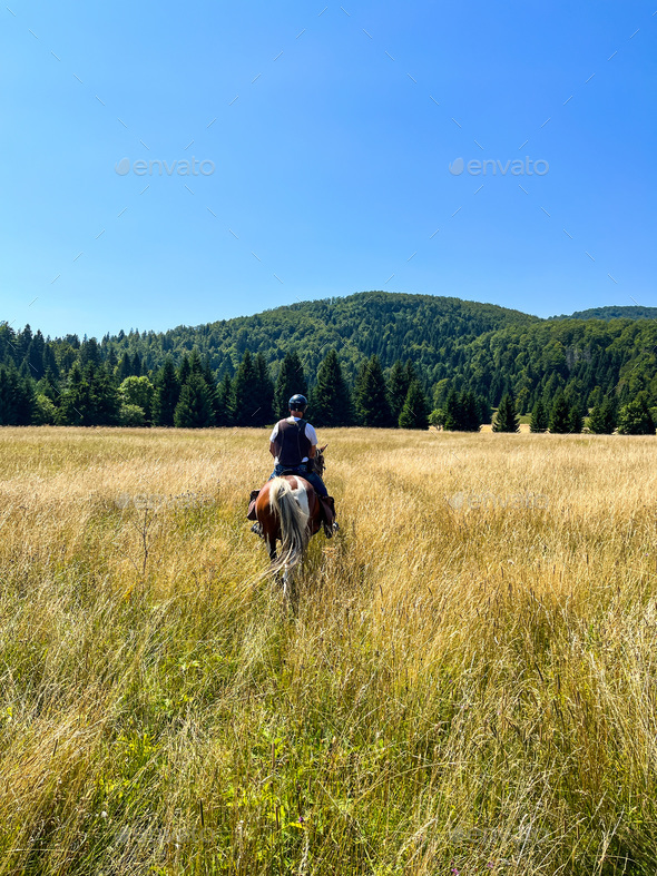 Rider riding a horse in nature Stock Photo by ivanat94 | PhotoDune