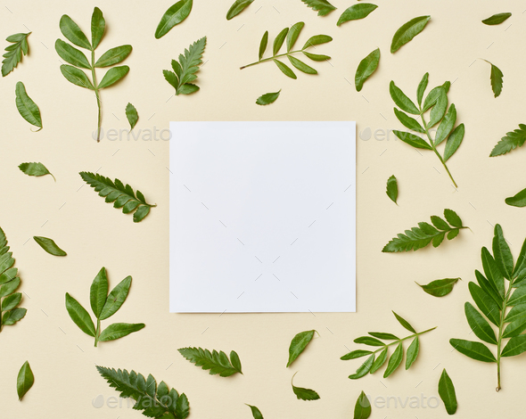 leaf flower greeting card note paper frame background flat lay floral ...