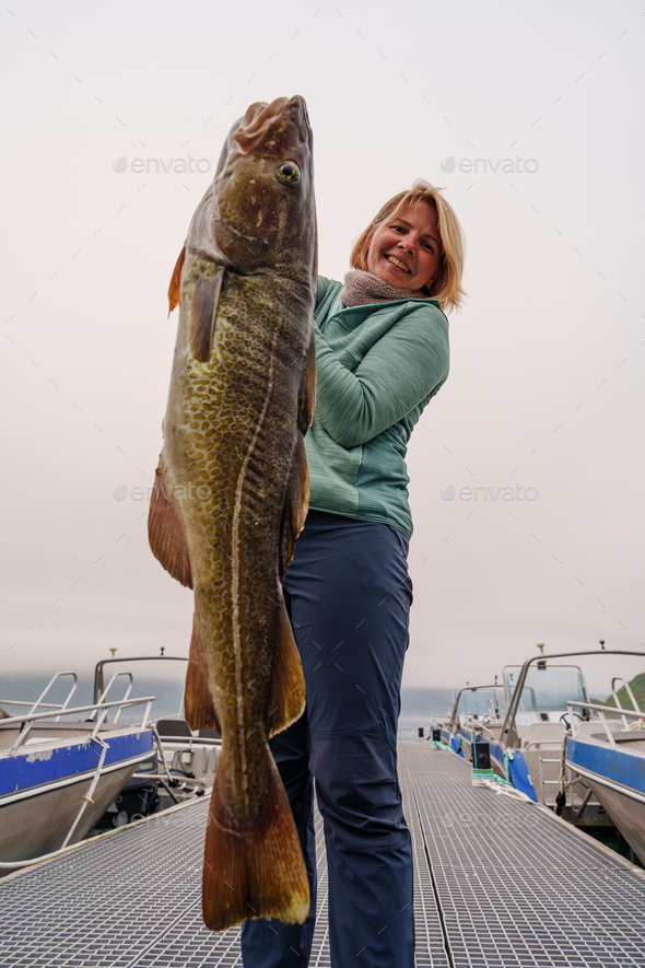 Happy Fisherwoman holding big arctic cod. Norway happy fishing. Woman ...