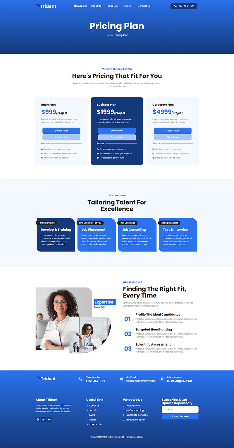 Trident - Human Resources & Recruitment Agency Elementor Template Kit ...