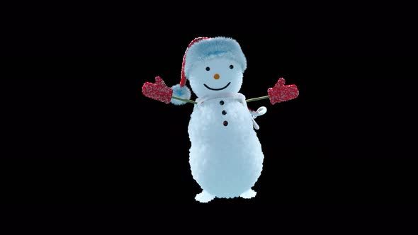 Snowman, Motion Graphics | VideoHive