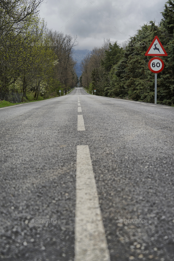 Vertical shot of an asphalt road with warning signs on a landscape ...