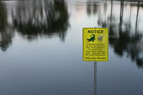 Warning sign in front of a lake, instructing not to approach or feed ...
