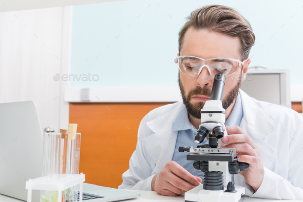 concentrated bearded scientist working with microscope in laboratory ...