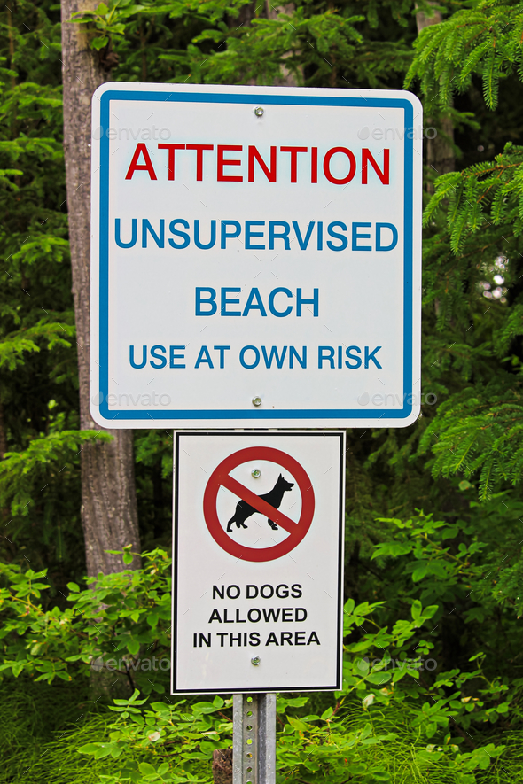 An attention unsupervised beach with no dogs allowed sign Stock Photo ...
