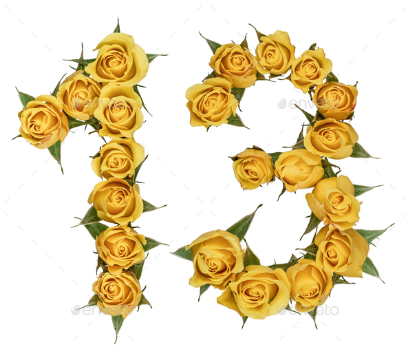 Arabic numeral 13, thirteen, from yellow flowers of rose, isolated on ...