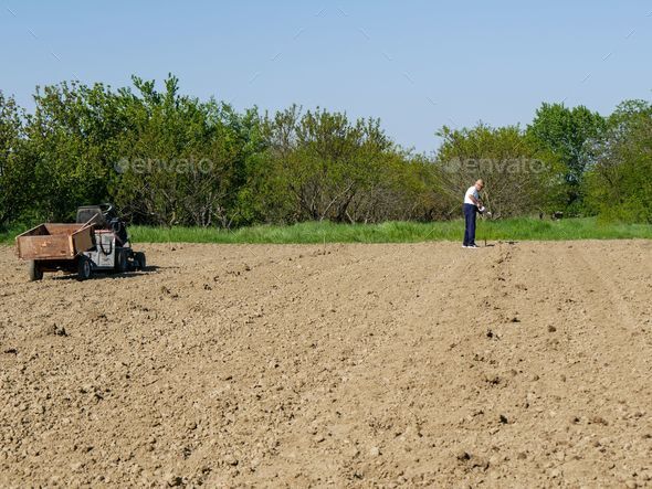 senior farmer planting grain crops Stock Photo by wirestock | PhotoDune