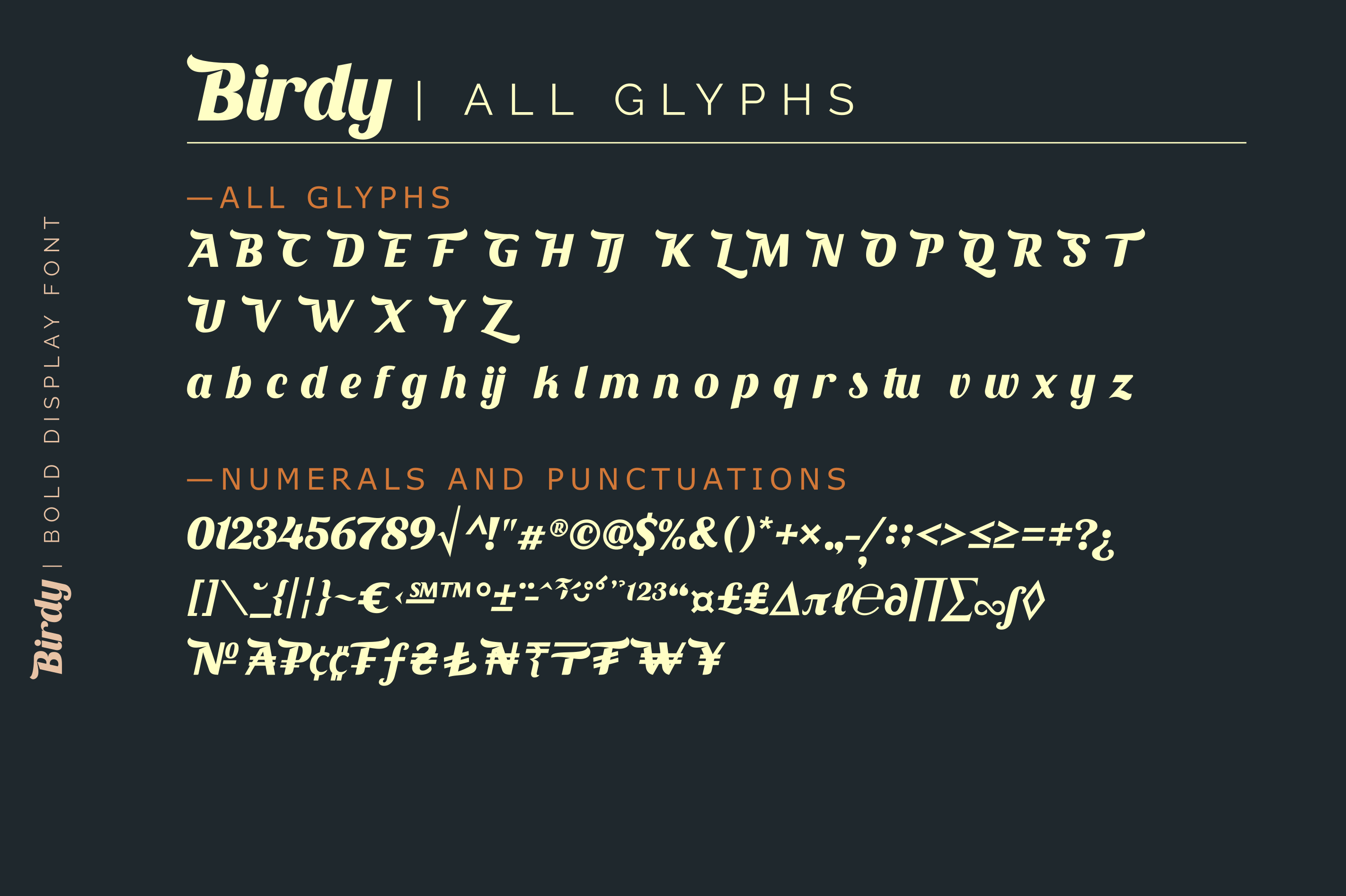 Birdy, Fonts | GraphicRiver