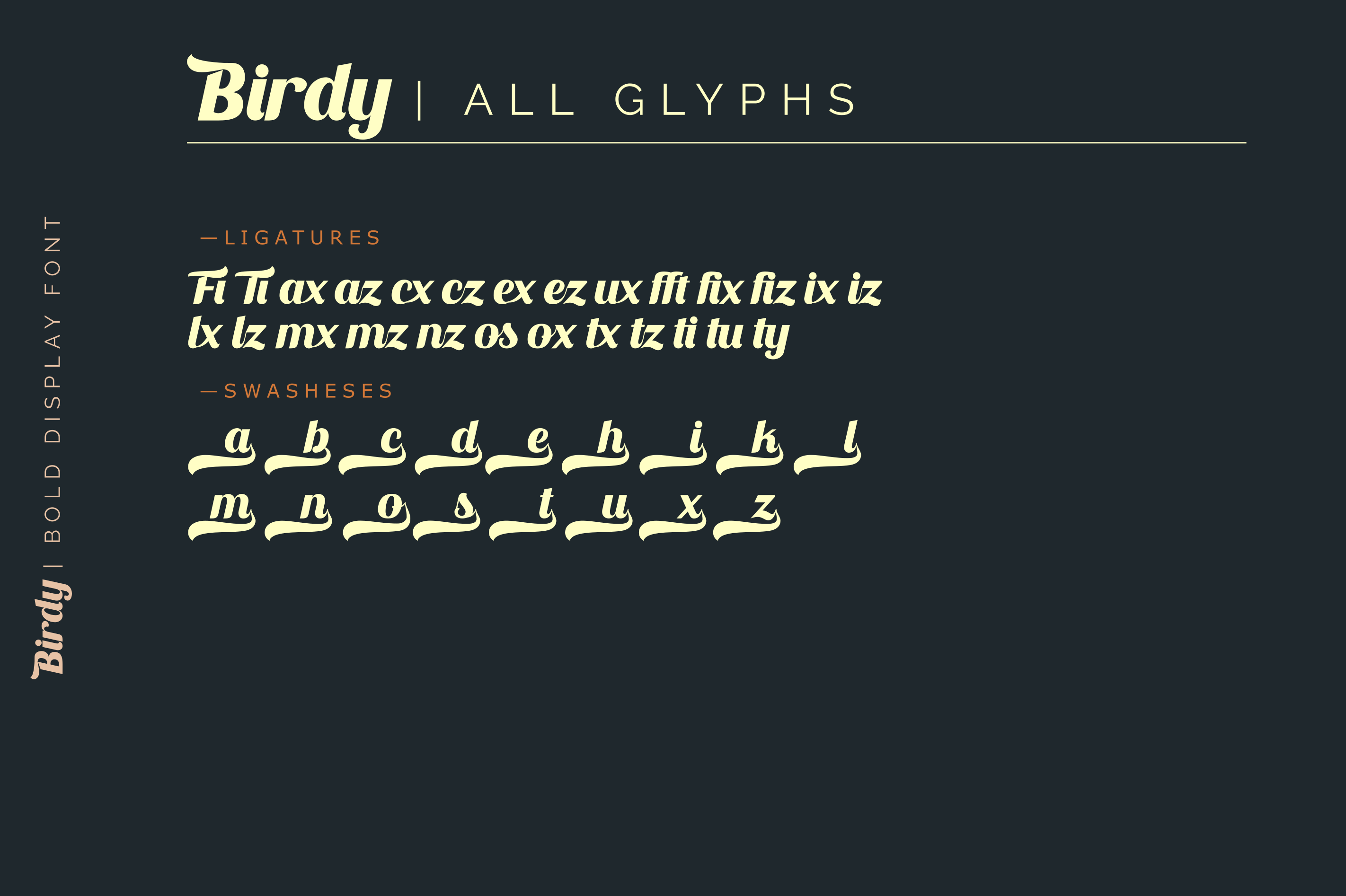 Birdy, Fonts | GraphicRiver