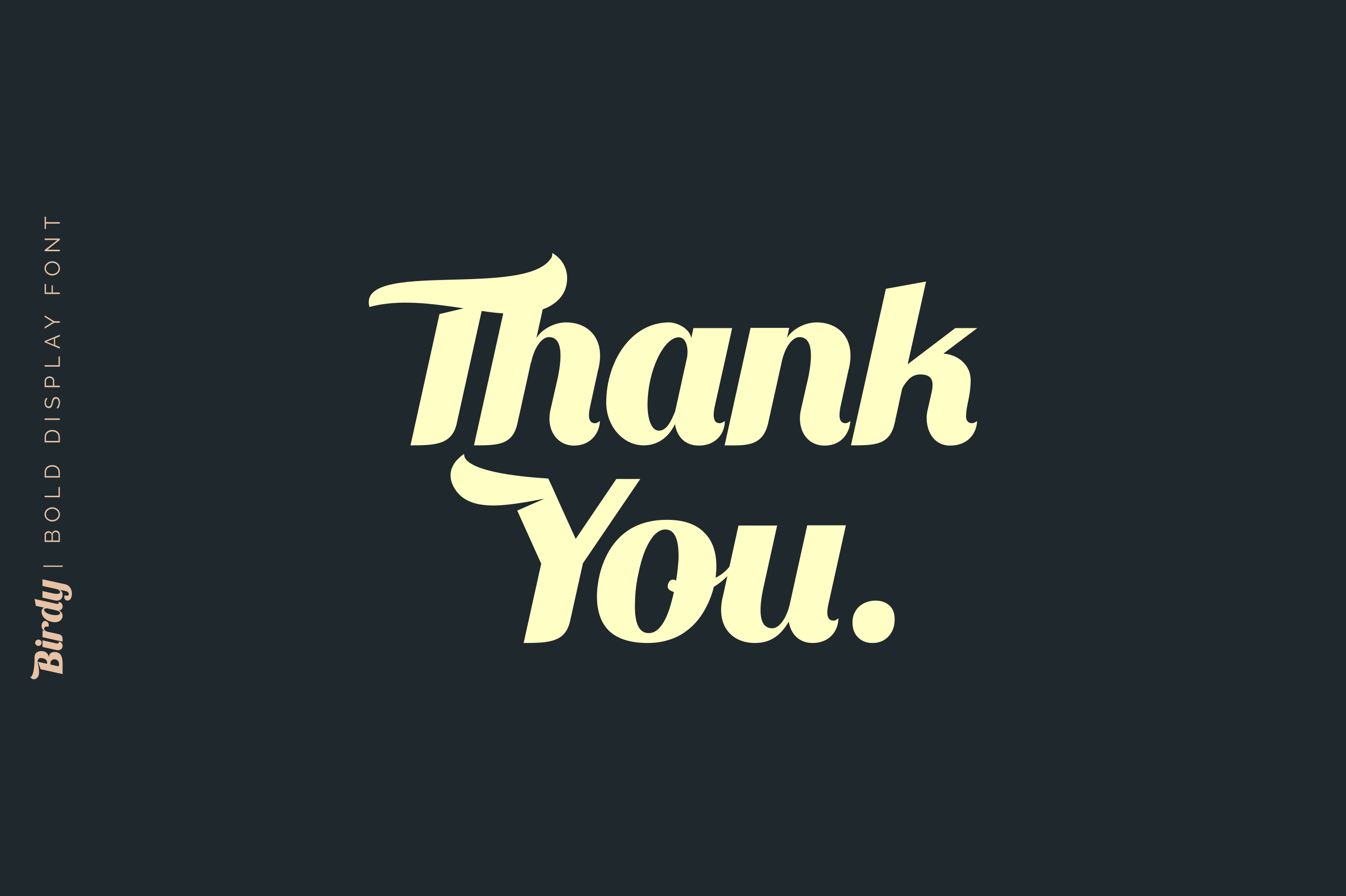 Birdy, Fonts | GraphicRiver