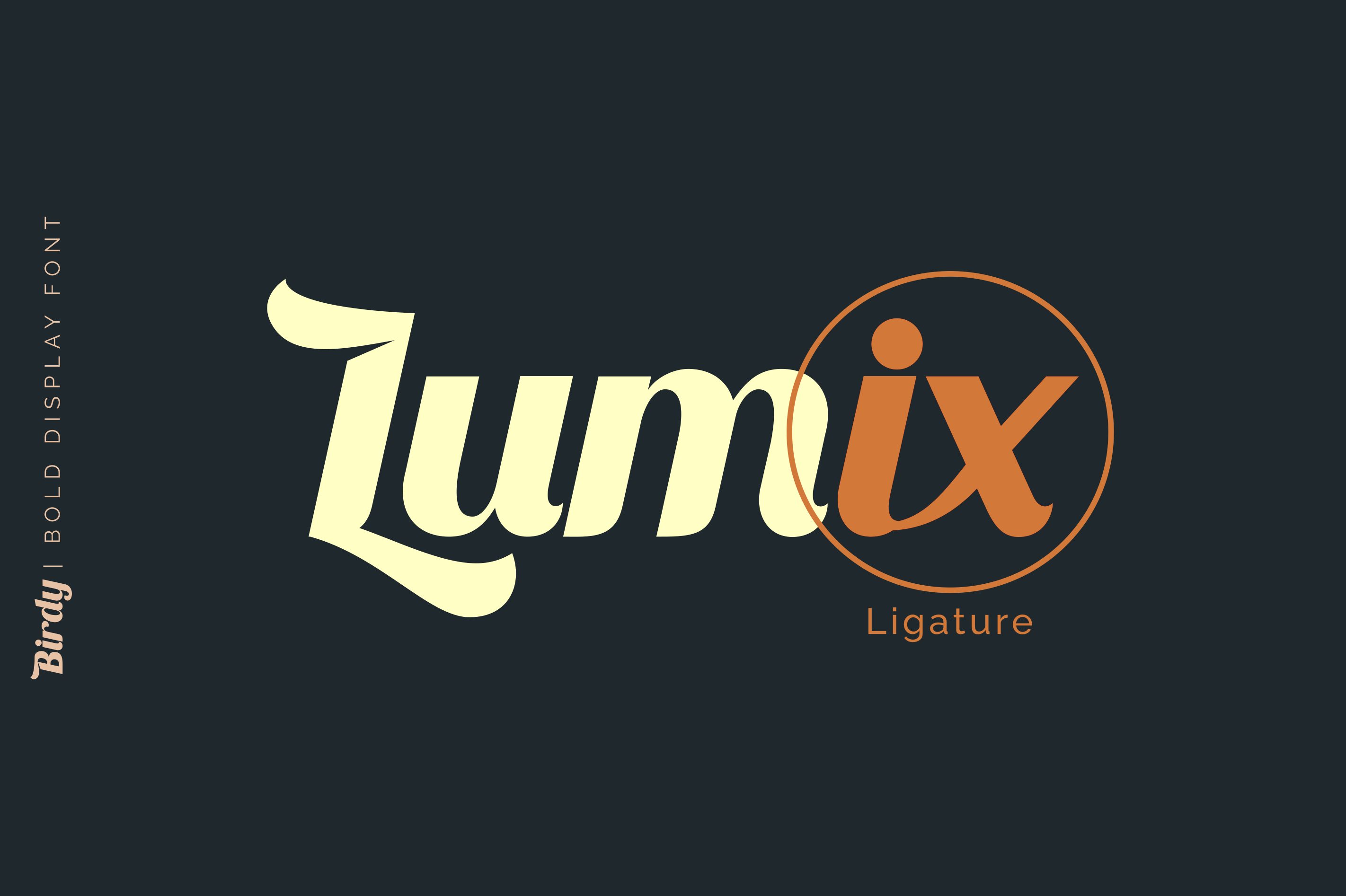 Birdy, Fonts | GraphicRiver