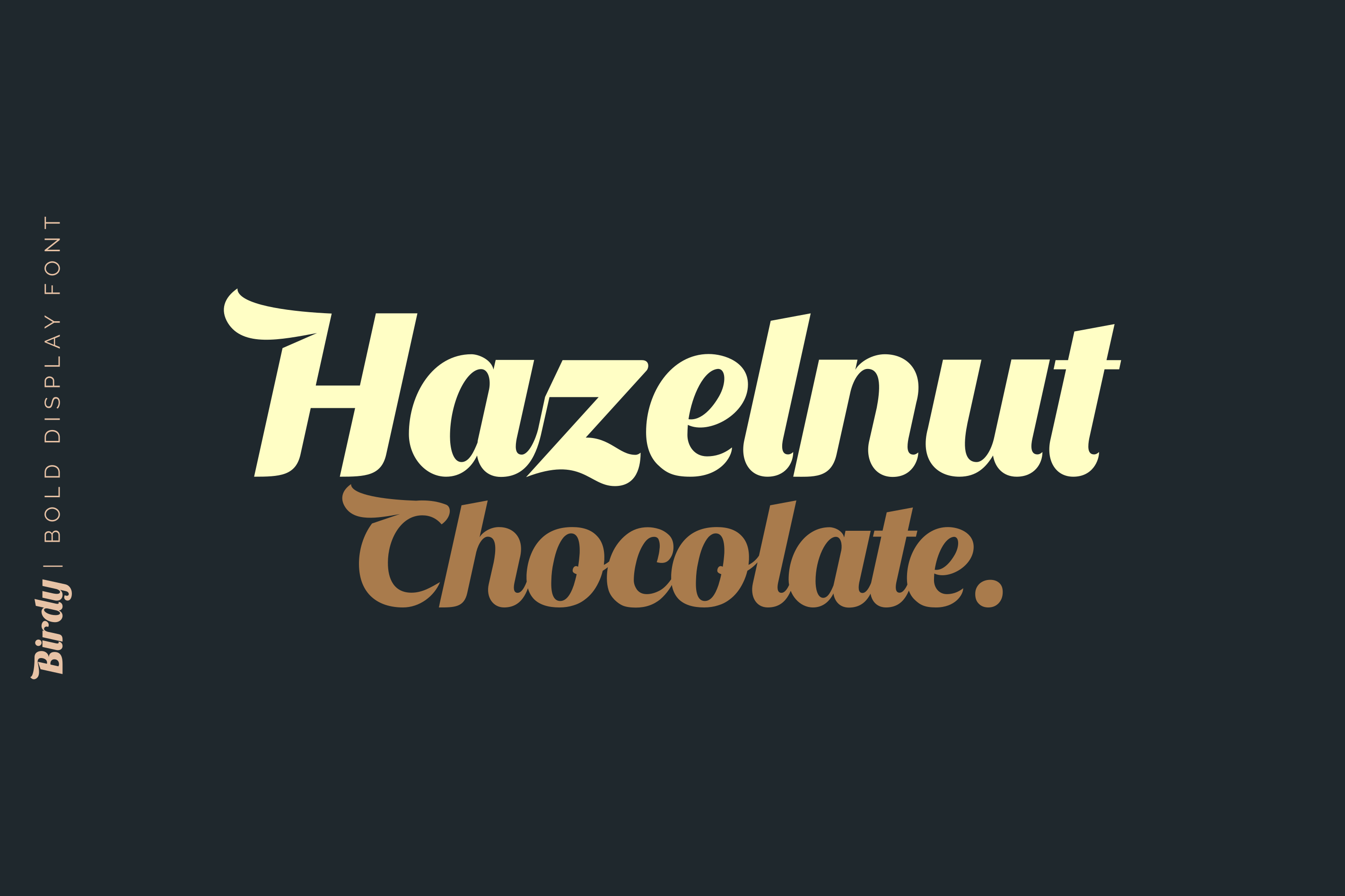 Birdy, Fonts | GraphicRiver