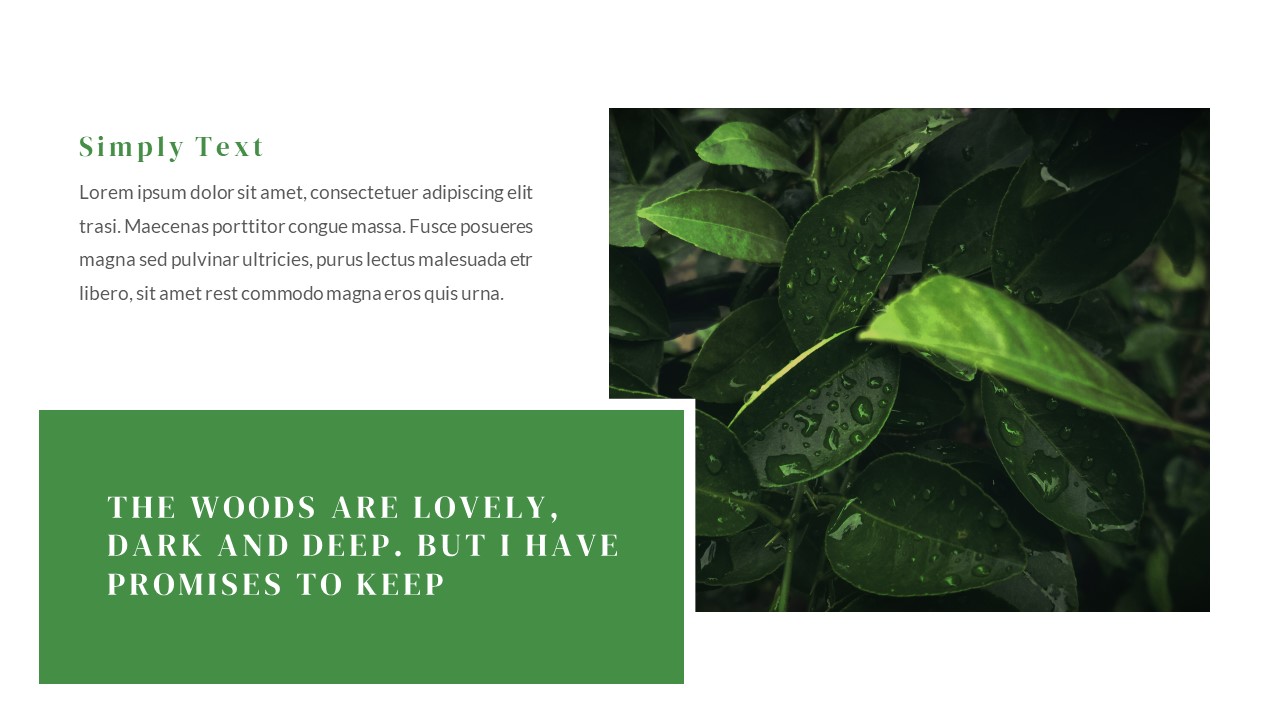 Greeny - Minimalist Plant Powerpoint Template, Presentation Templates