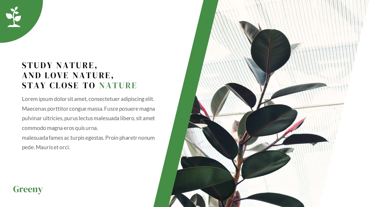 Greeny - Minimalist Plant Powerpoint Template, Presentation Templates