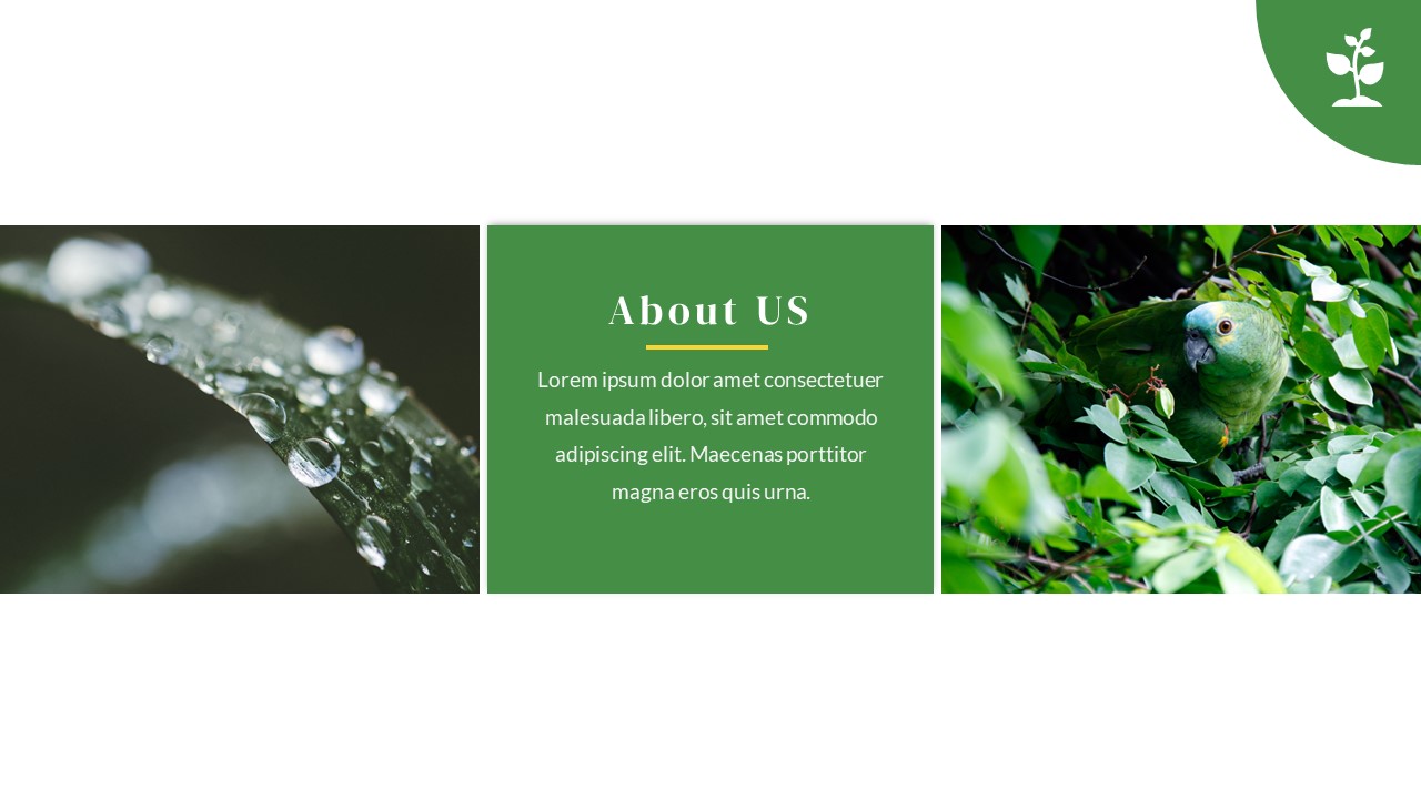 Greeny - Minimalist Plant Powerpoint Template, Presentation Templates