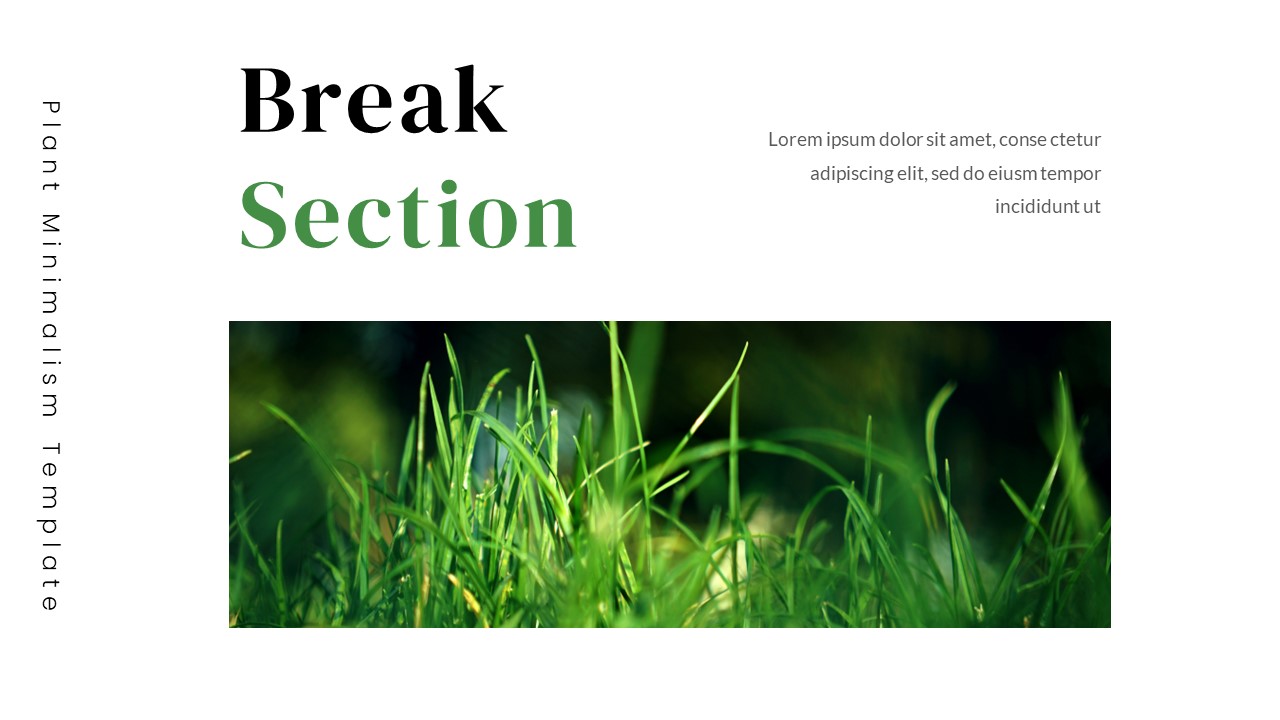 Greeny - Minimalist Plant Powerpoint Template, Presentation Templates