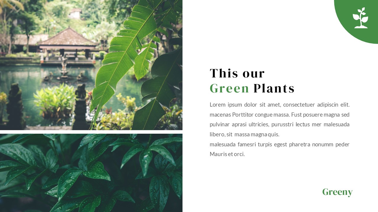 Greeny - Minimalist Plant Powerpoint Template, Presentation Templates