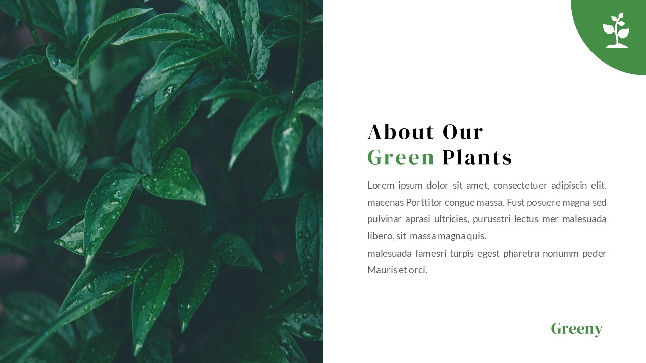 Greeny - Minimalist Plant Powerpoint Template, Presentation Templates
