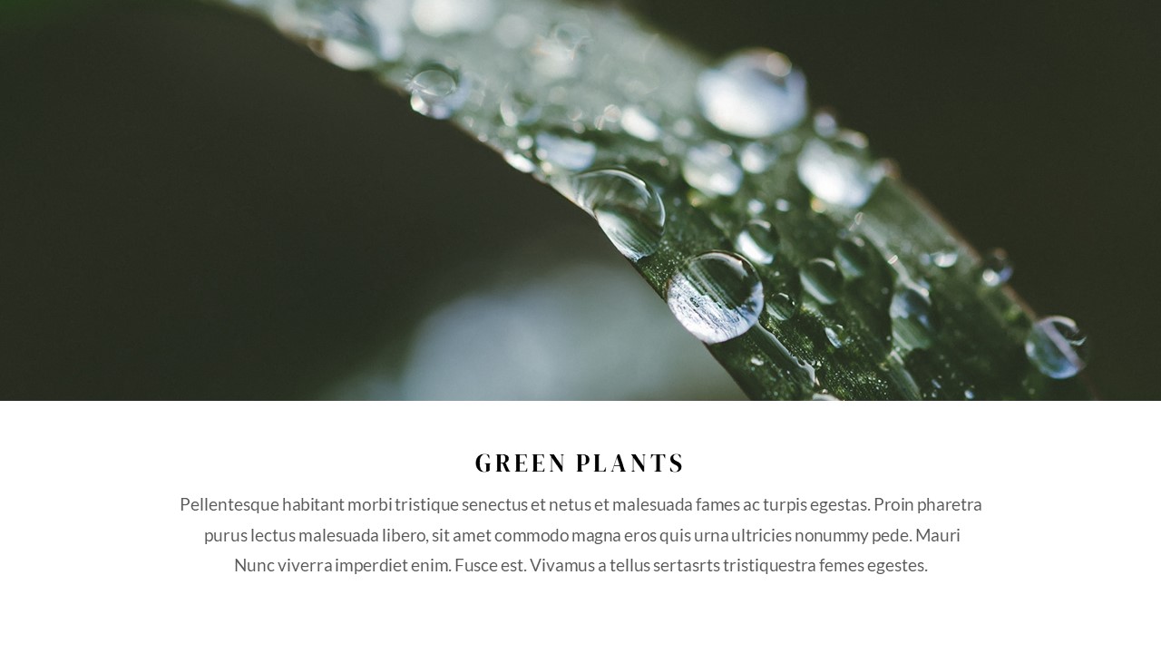 Greeny - Minimalist Plant Powerpoint Template, Presentation Templates