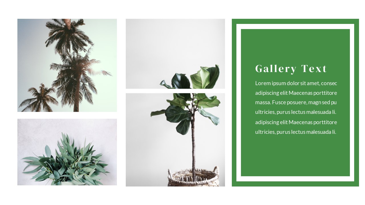 Greeny - Minimalist Plant Powerpoint Template, Presentation Templates