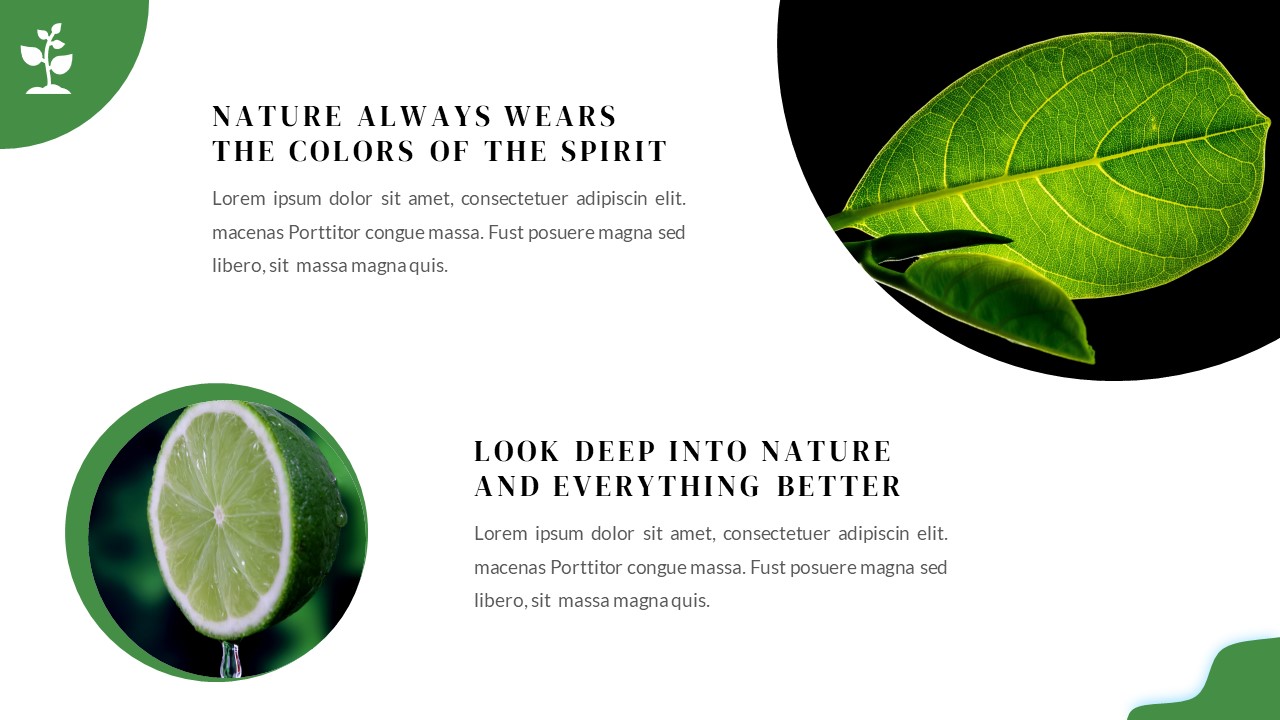 Greeny - Minimalist Plant Powerpoint Template, Presentation Templates