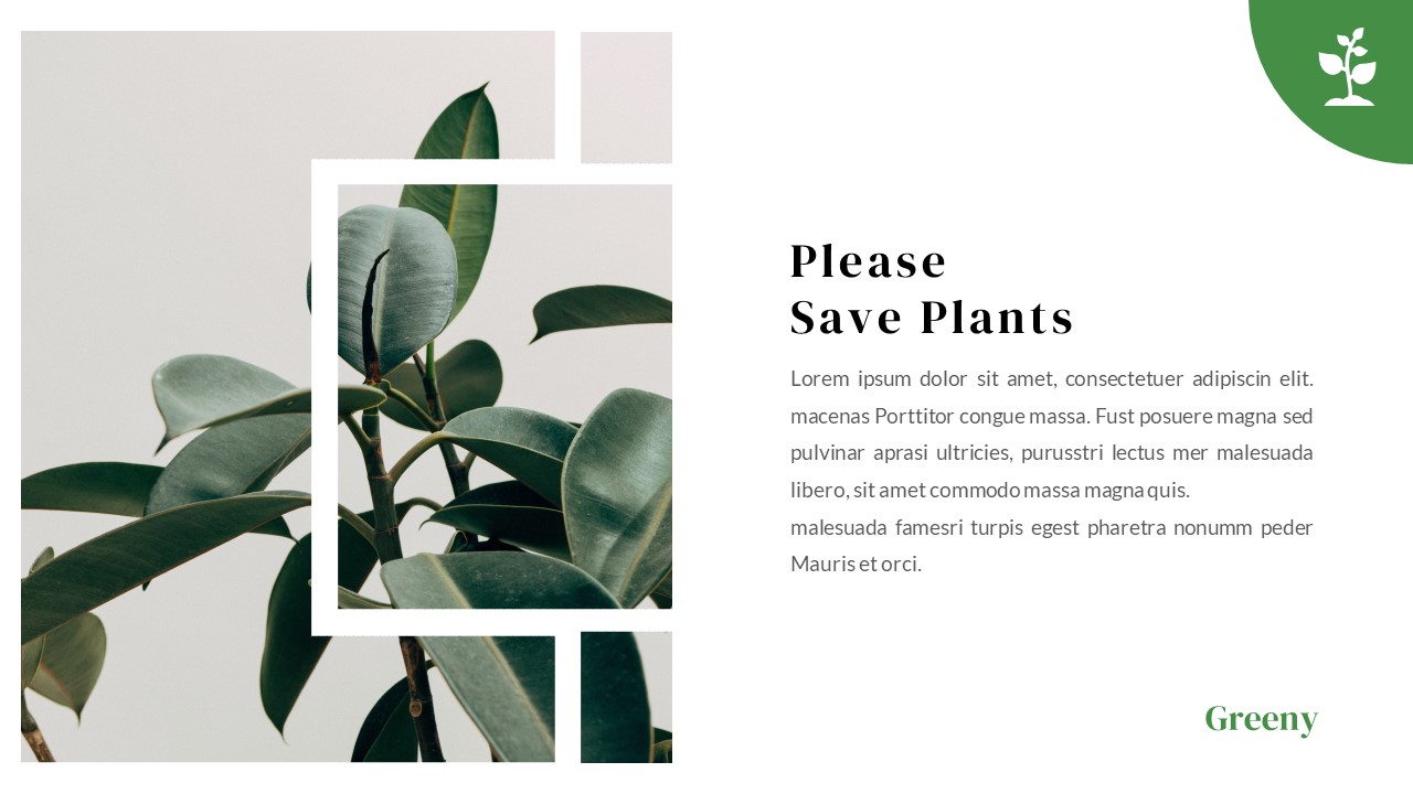 Greeny - Minimalist Plant Keynote Template, Presentation Templates