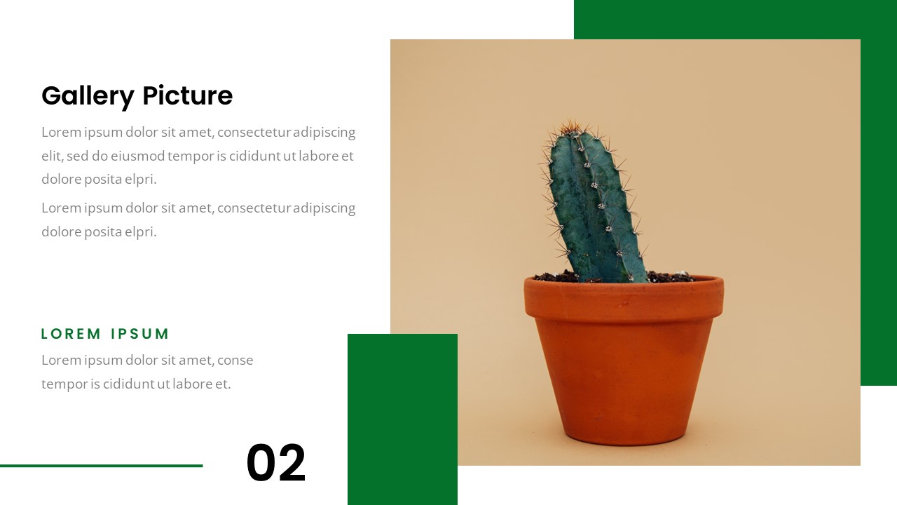 Kaktus - Plant Decoration Google Slides Template, Presentation Templates