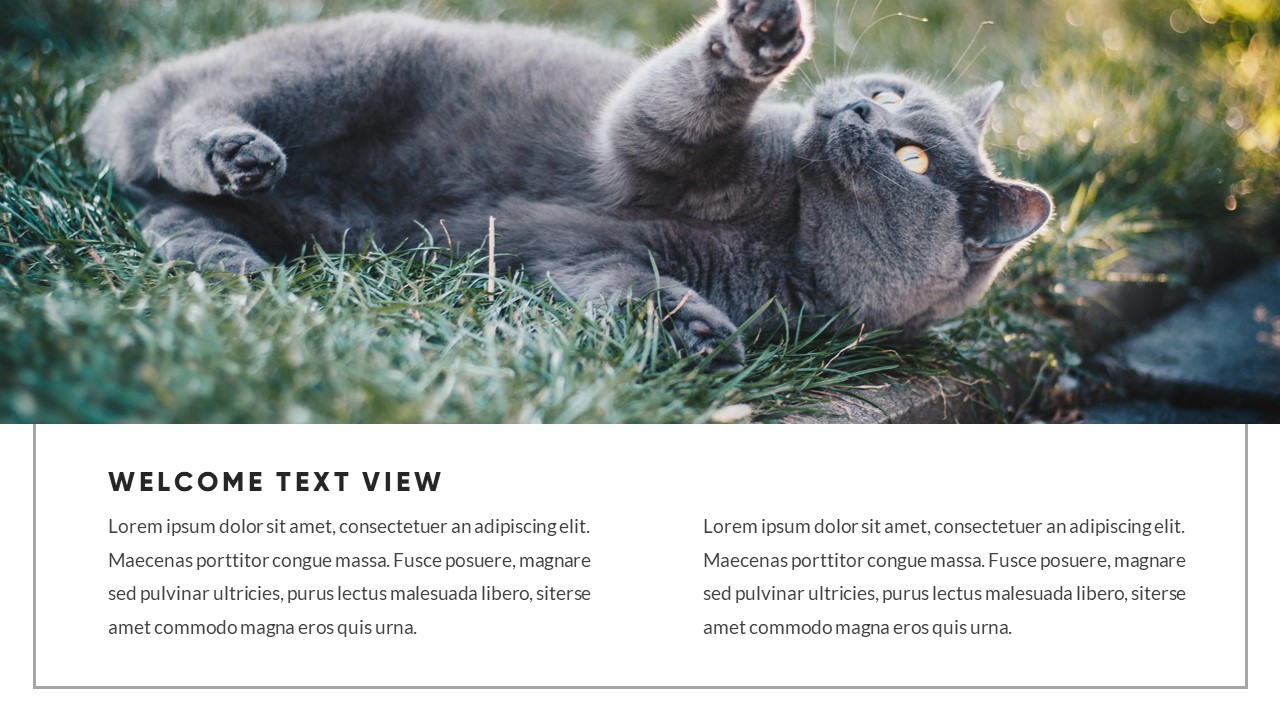 Kucing - Cat Animal Powerpoint Template, Presentation Templates ...