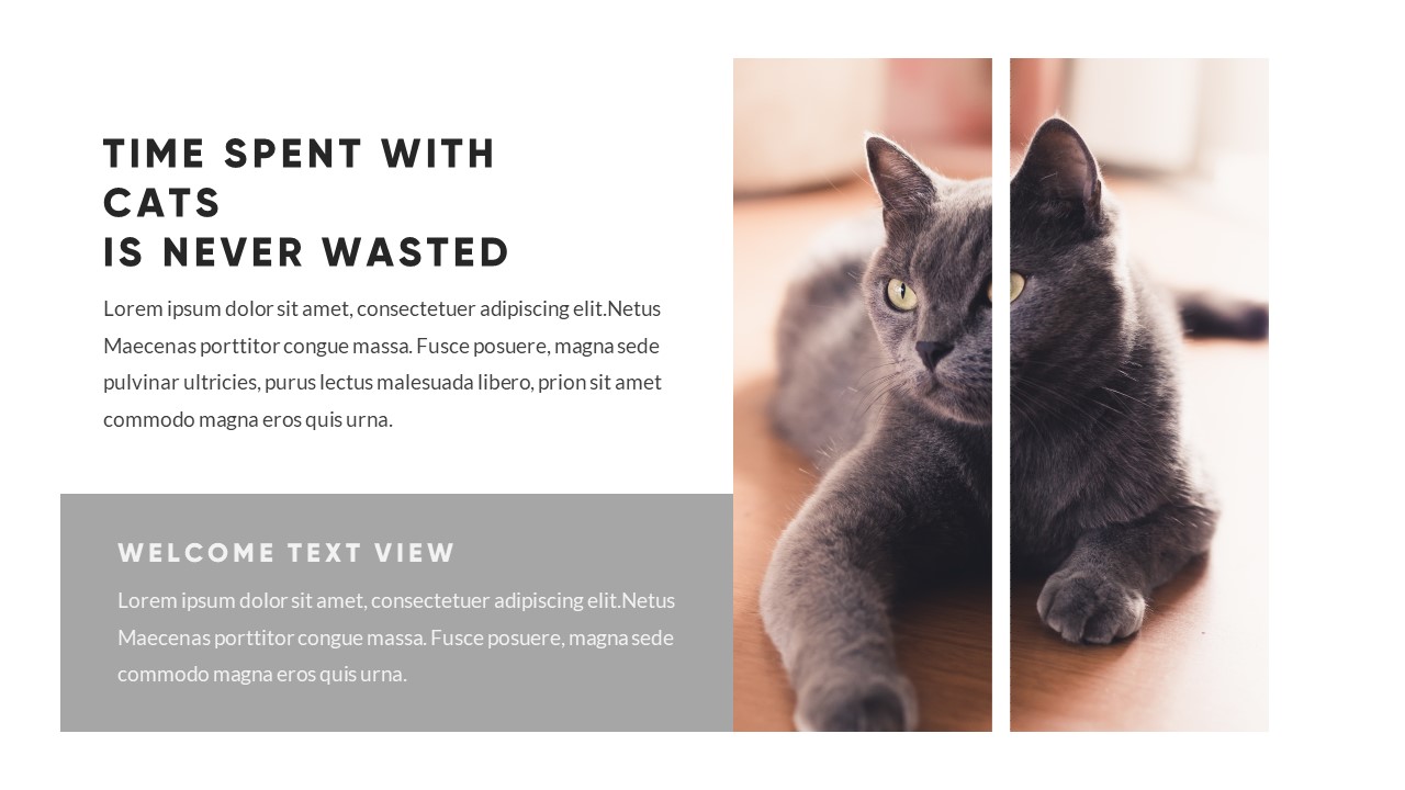 Kucing - Cat Animal Powerpoint Template, Presentation Templates ...