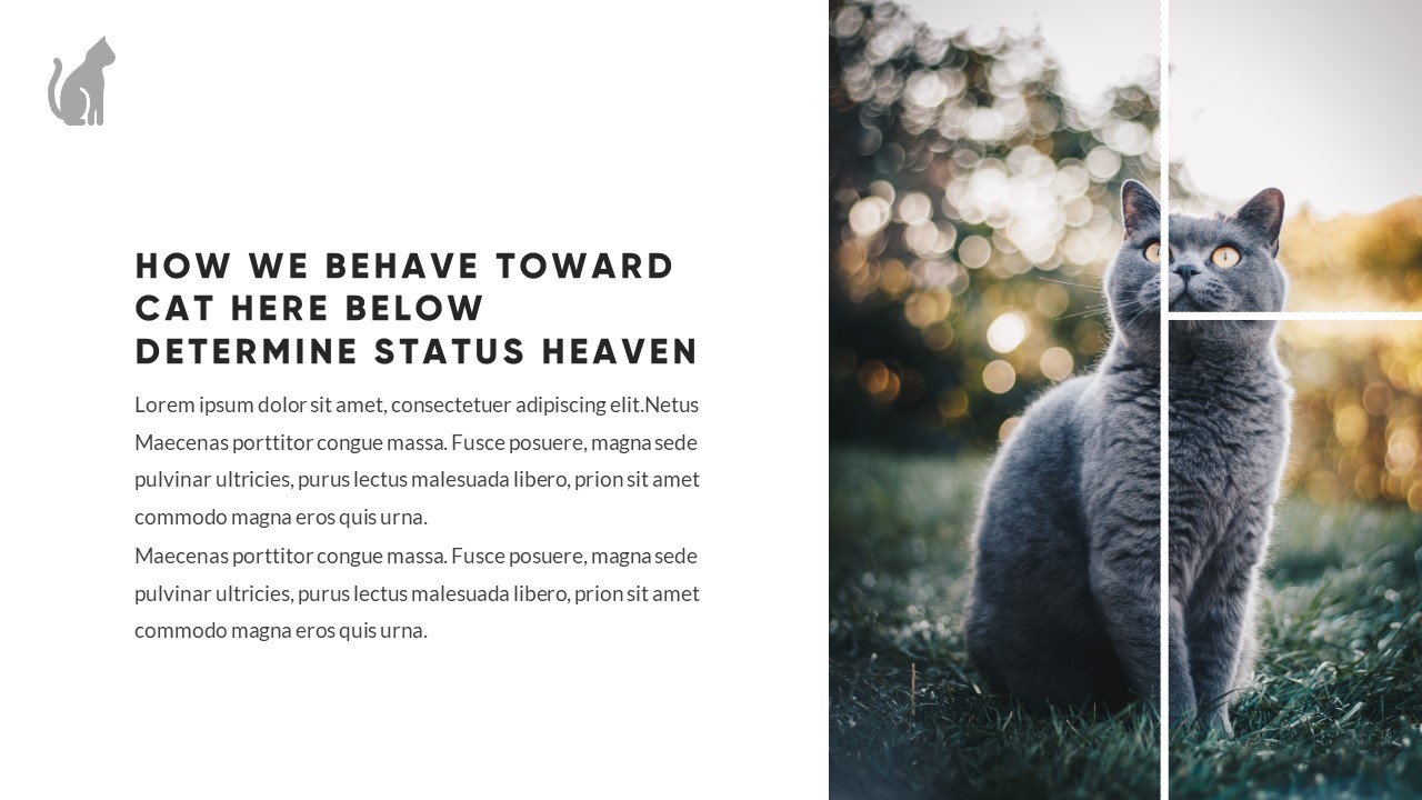 Kucing - Cat Animal Powerpoint Template, Presentation Templates ...