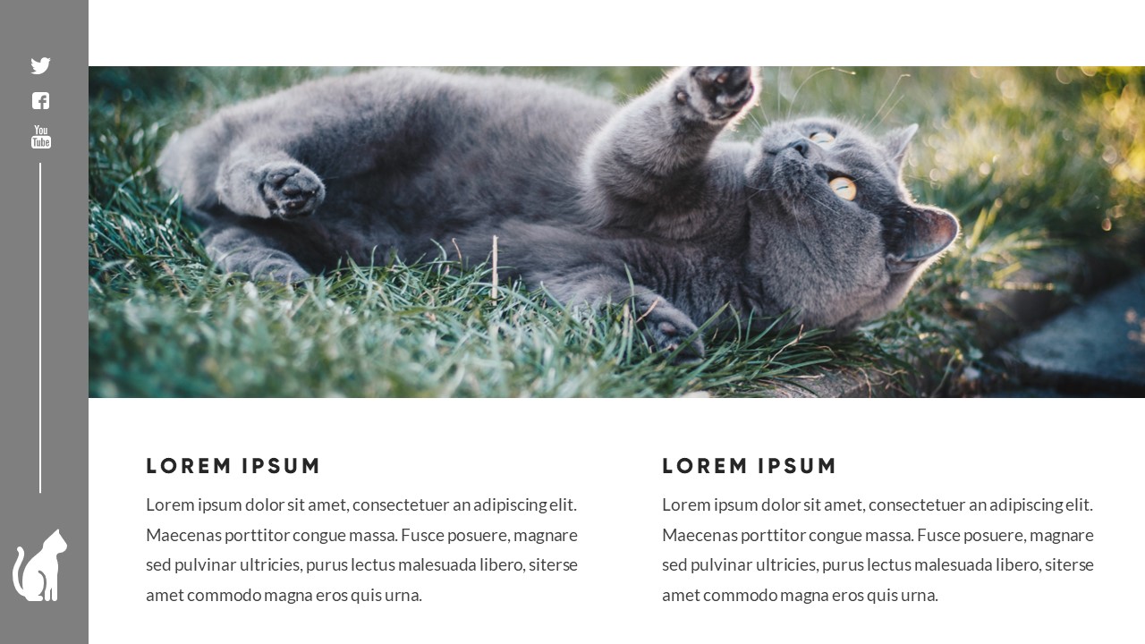 Kucing - Cat Animal Powerpoint Template, Presentation Templates ...