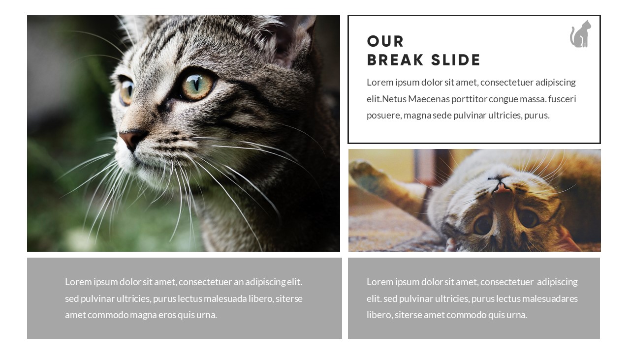 Kucing - Cat Animal Powerpoint Template, Presentation Templates ...