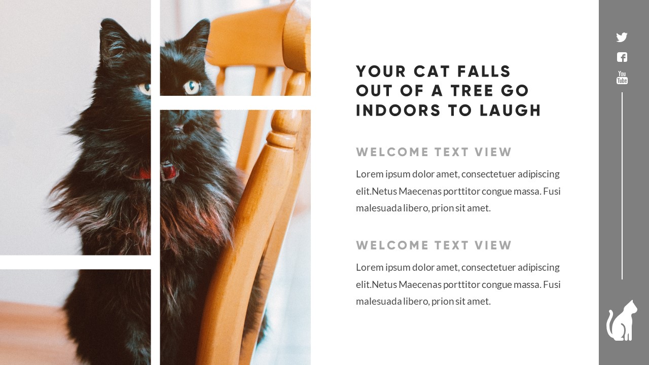 Kucing - Cat Animal Powerpoint Template, Presentation Templates ...