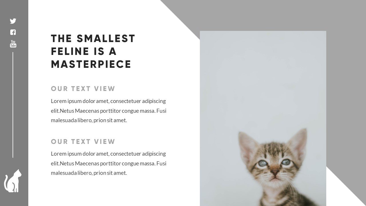 Kucing - Cat Animal Powerpoint Template, Presentation Templates ...