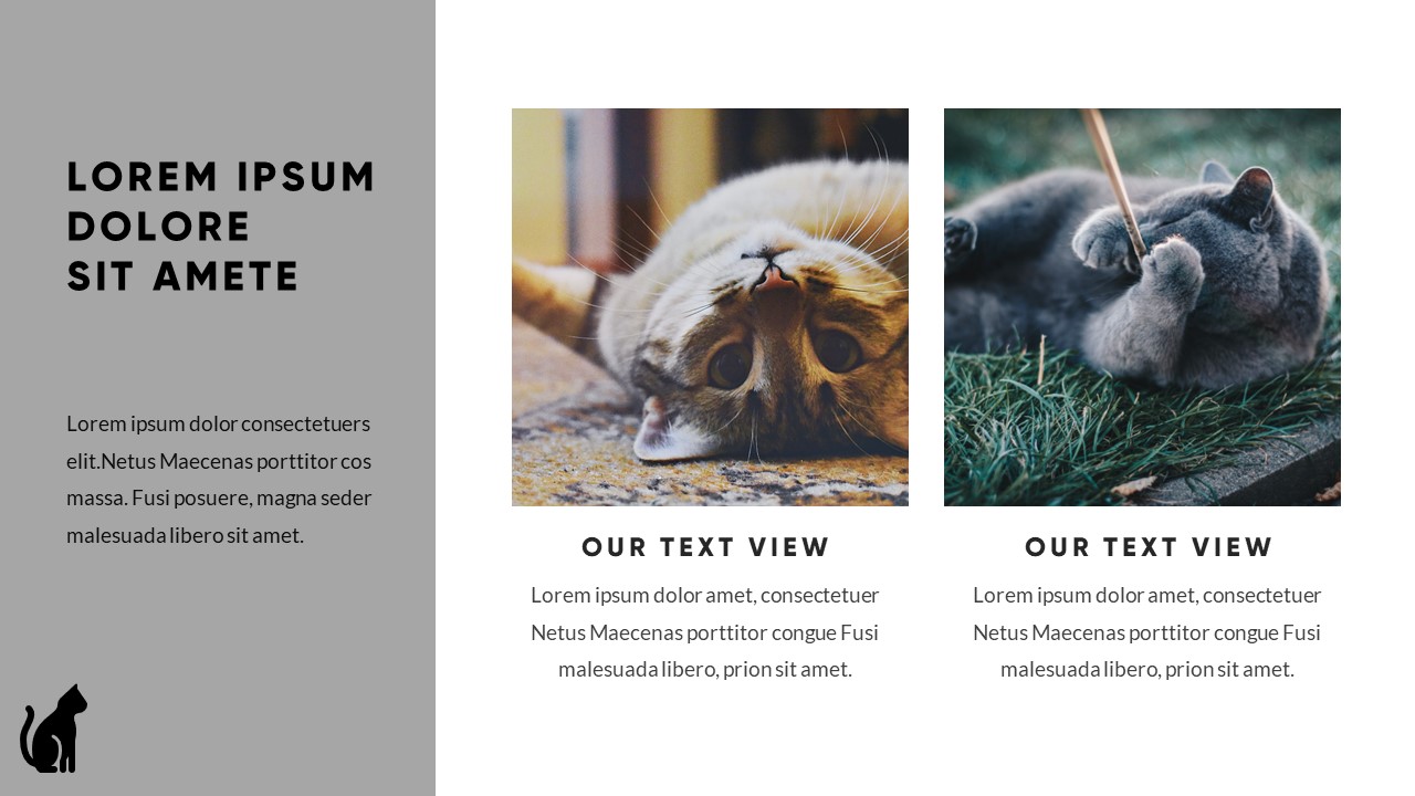 Kucing - Cat Animal Powerpoint Template, Presentation Templates ...