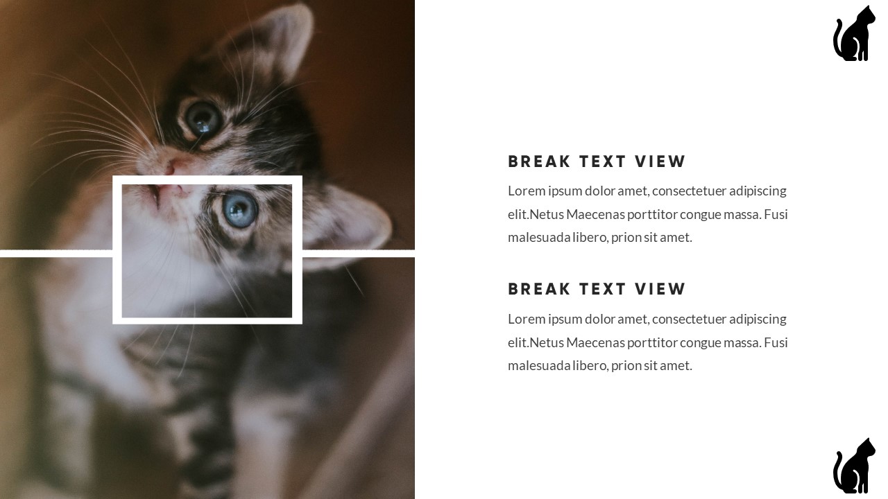 Kucing - Cat Animal Powerpoint Template, Presentation Templates ...