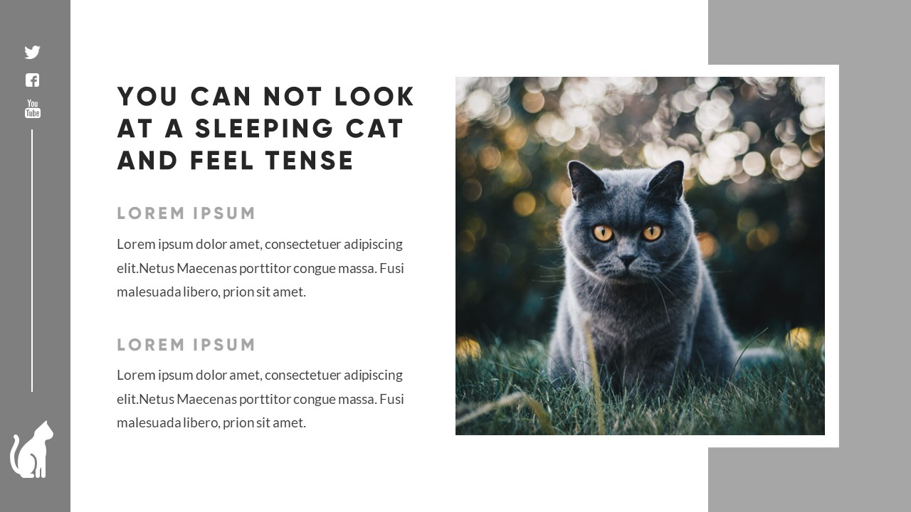 Kucing - Cat Animal Powerpoint Template, Presentation Templates ...