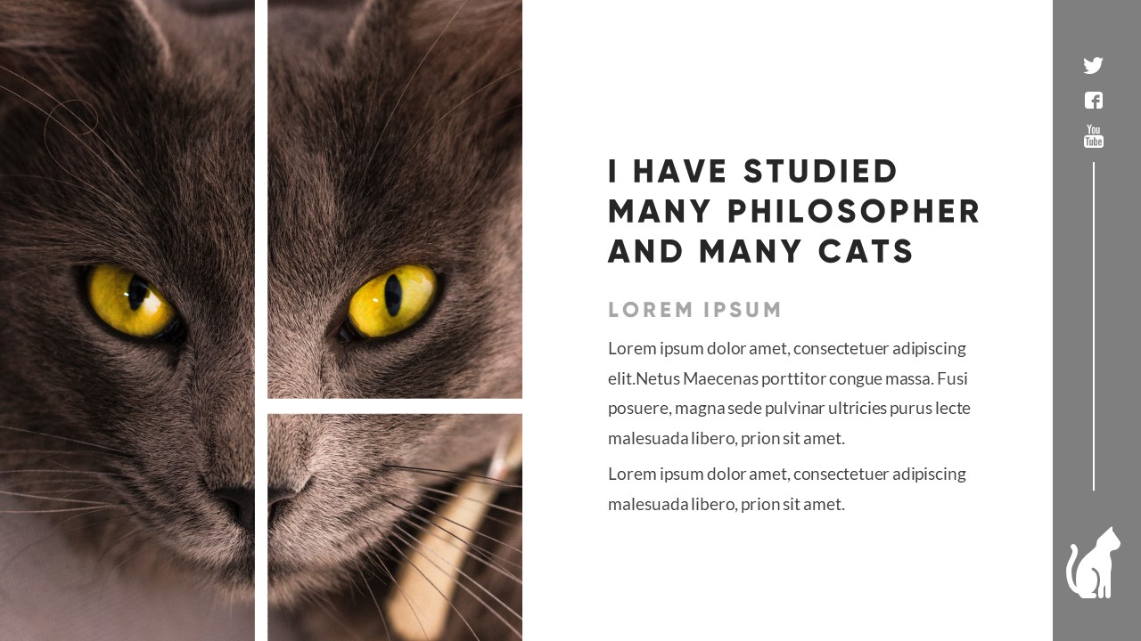 Kucing - Cat Animal Powerpoint Template, Presentation Templates ...