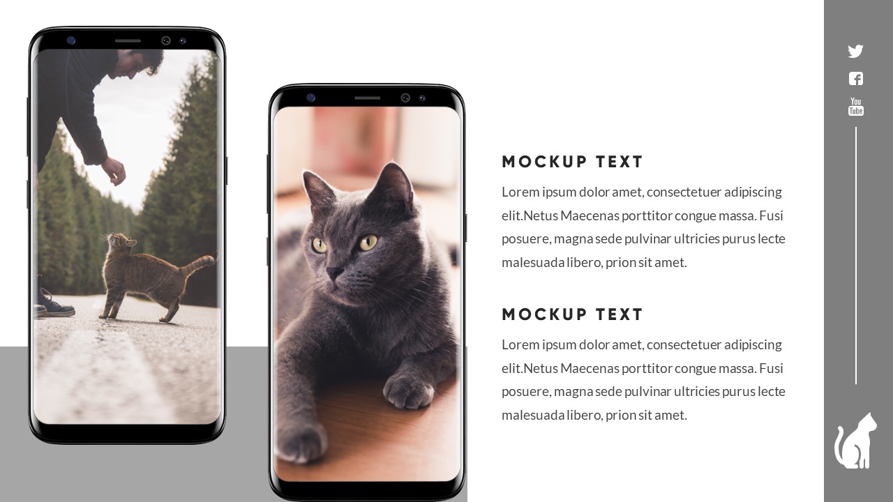 Kucing - Cat Animal Powerpoint Template, Presentation Templates ...