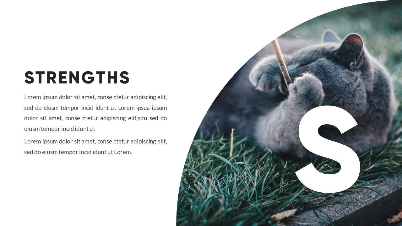 Kucing - Cat Animal Powerpoint Template, Presentation Templates ...